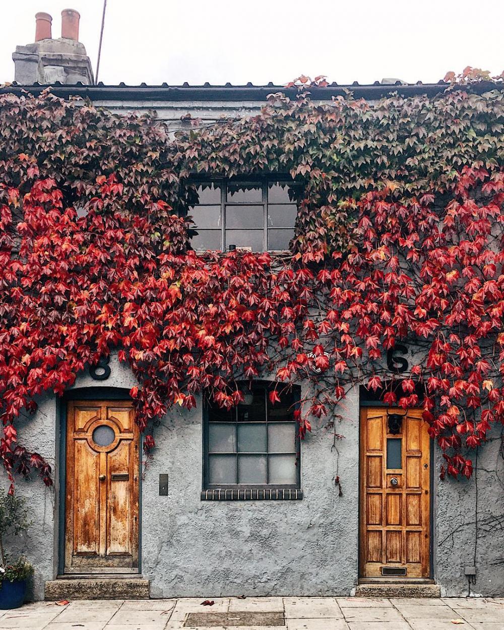10 Stunning Autumn Photos of London