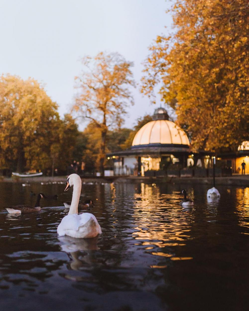 10 Stunning Autumn Photos of London