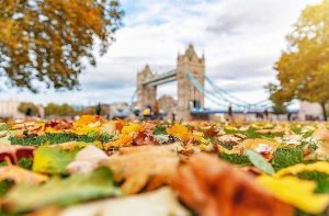 10 Stunning Autumn Photos of London