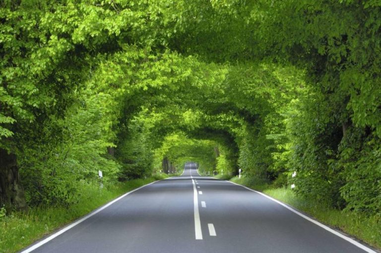 10 Absolutely Stunning Natural Tunnels