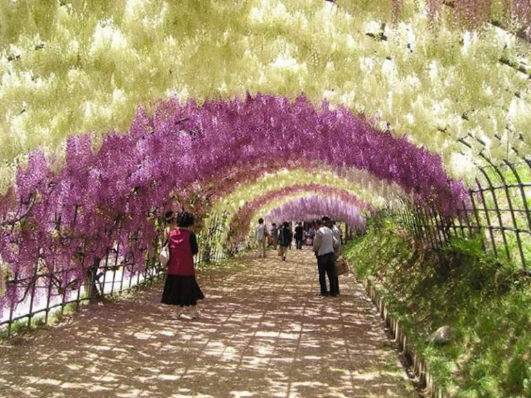 10 Absolutely Stunning Natural Tunnels