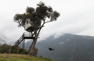 15 Most Incredible Tree Houses in the World