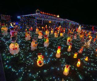 Crazy Christmas Lights