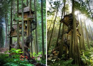 15 Most Incredible Tree Houses in the World